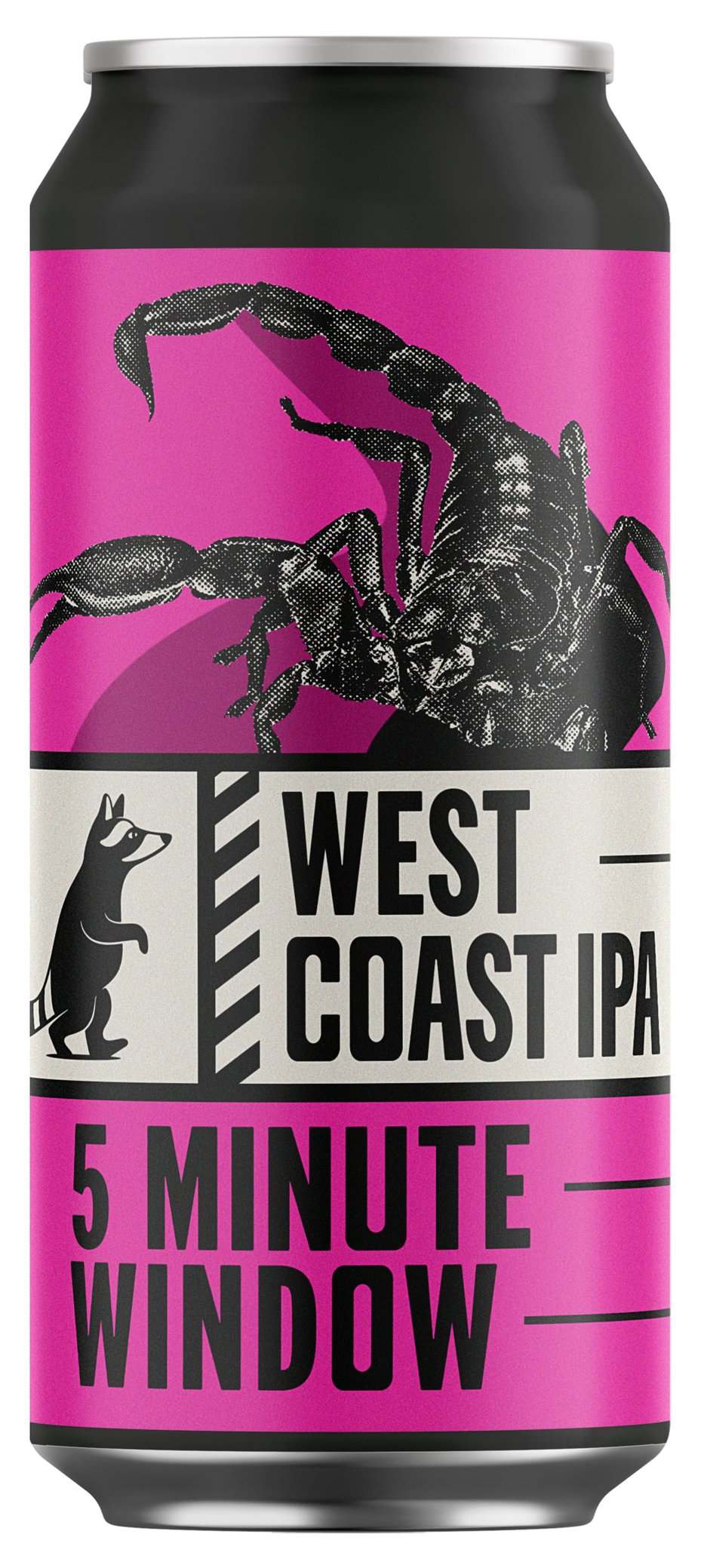 5minute window – Wild Raccoon